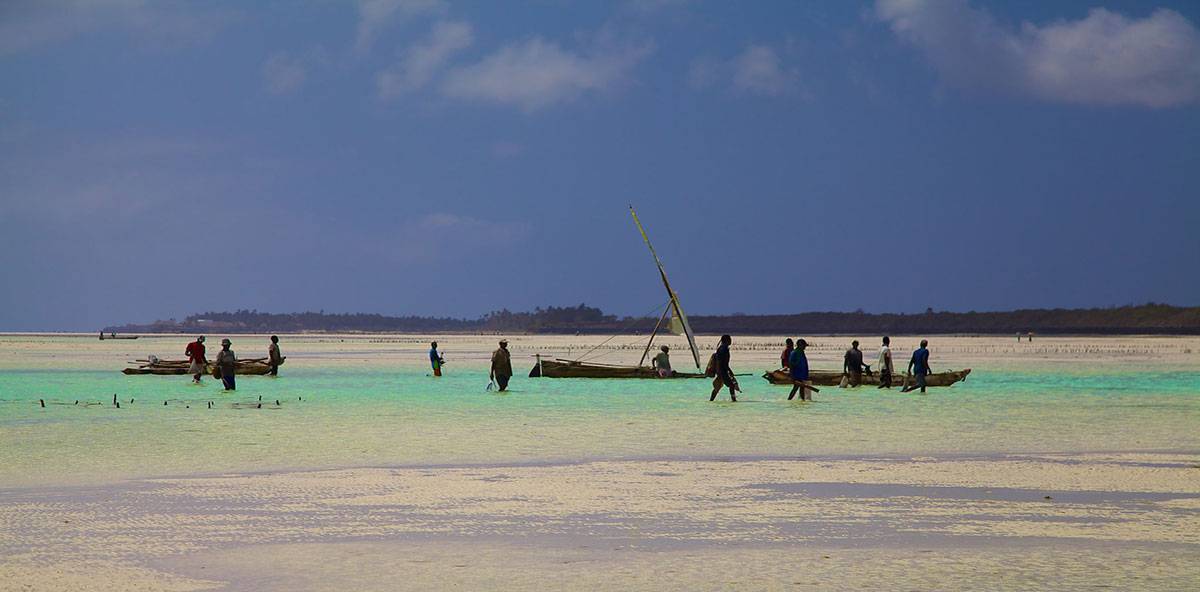 Best Places To Visit In Tanzania - TOP 10 MUST-KNOW