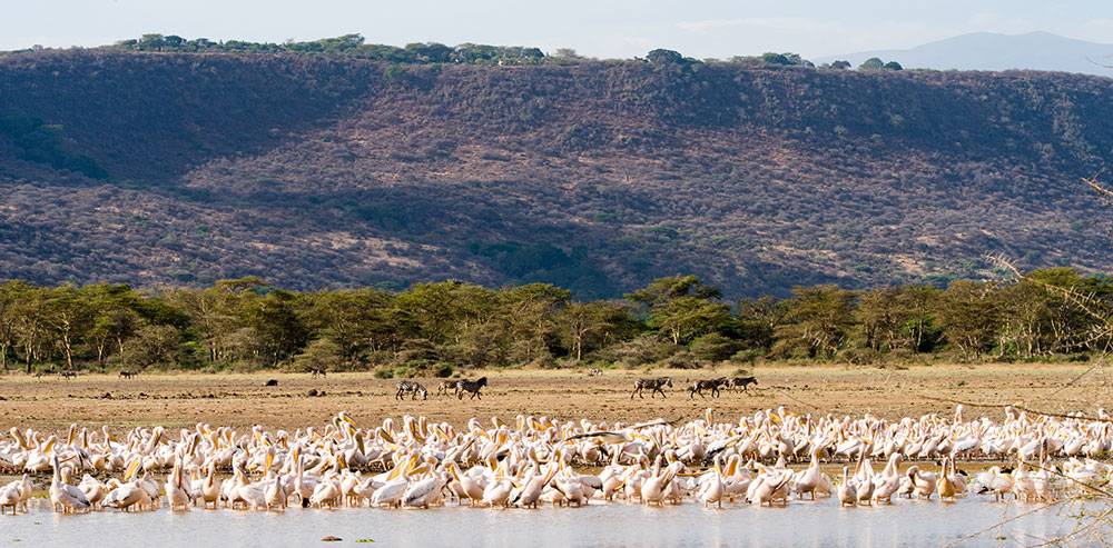 Best Places To Visit In Tanzania - TOP 10 MUST-KNOW