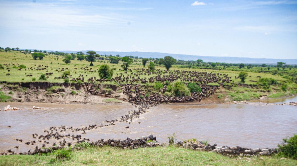 Best Time To See Great Migration Tanzania | A Complete Guide