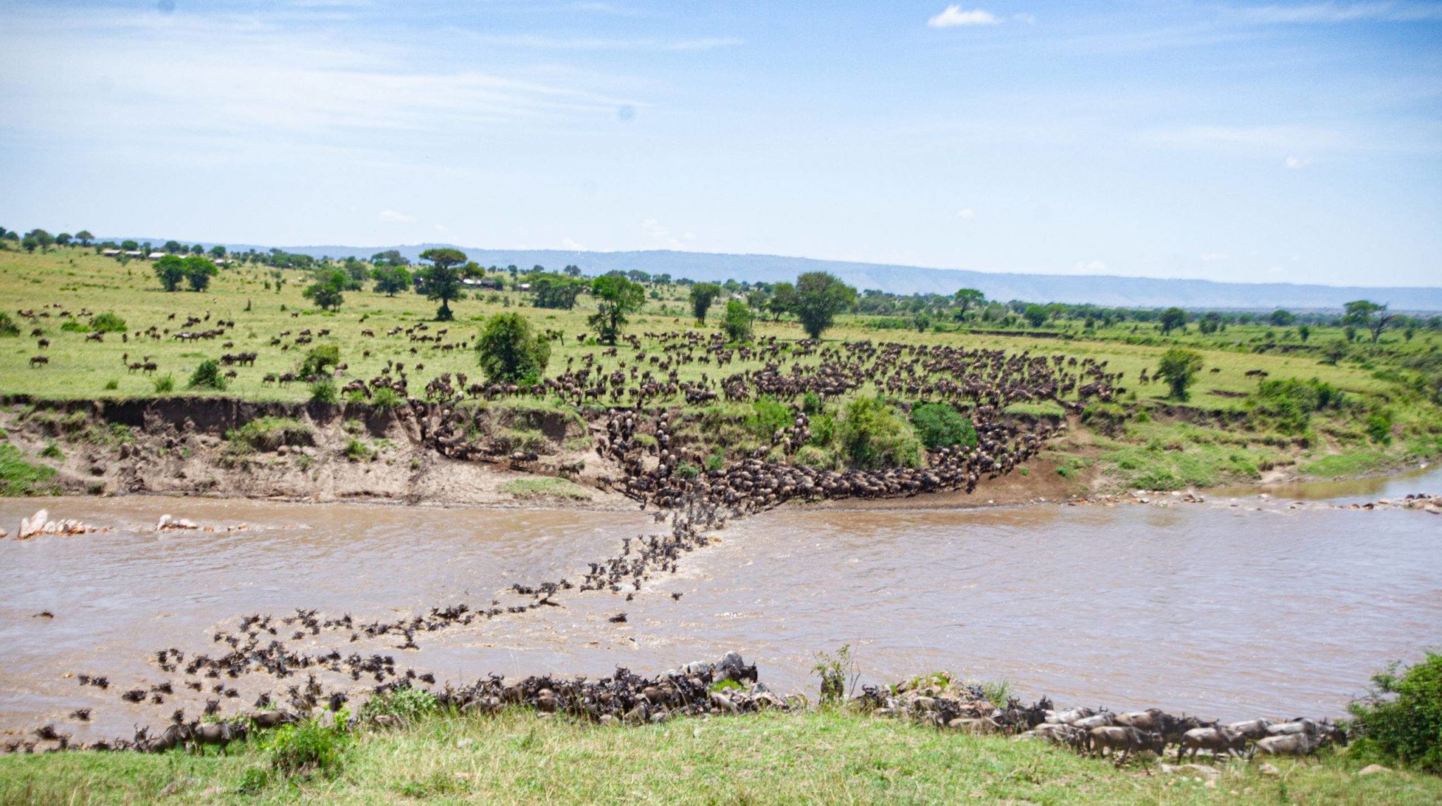 Best Time To See Great Migration Tanzania | A Complete Guide
