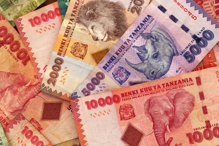 Tanzania Country Currency - Money Tips To Travellers